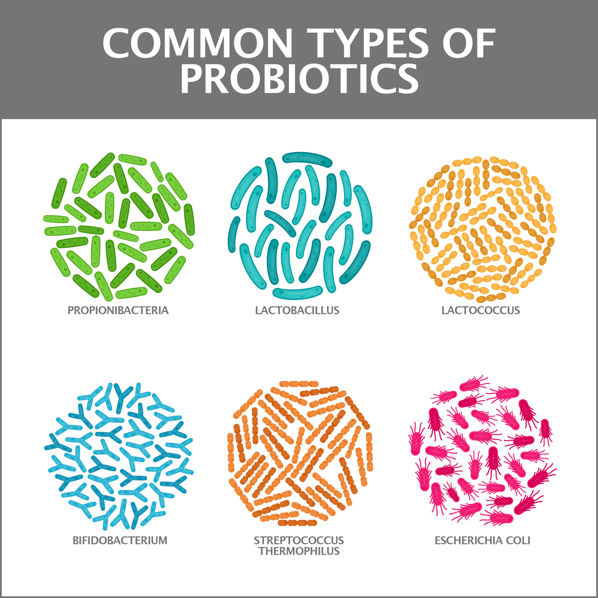 Probiotics: Help or Hype? | Gastroenterology of Greater Orlando